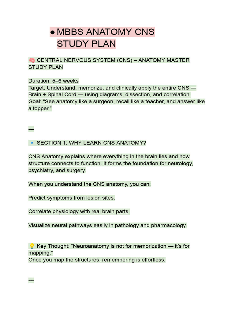 CNS Anatomy Study Plan for MBBS | PDF | Brainstem | Spinal Cord