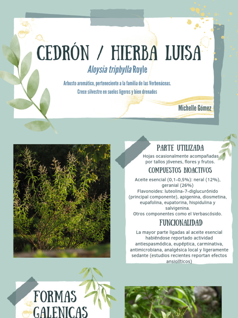 Actividad Individual1 Cedron | PDF