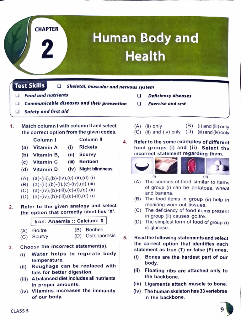 Correct Options for Health Quiz | PDF | Muscle | Vitamin