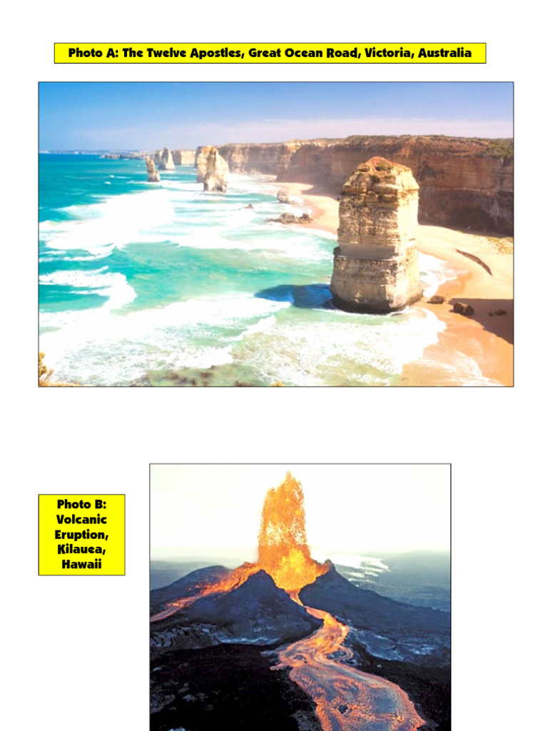 Types of Environment | PDF