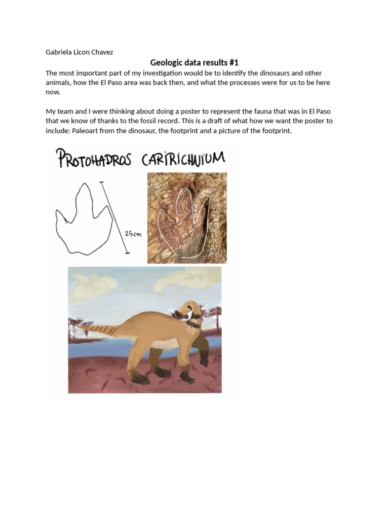 Geologic Data Results #1 | PDF