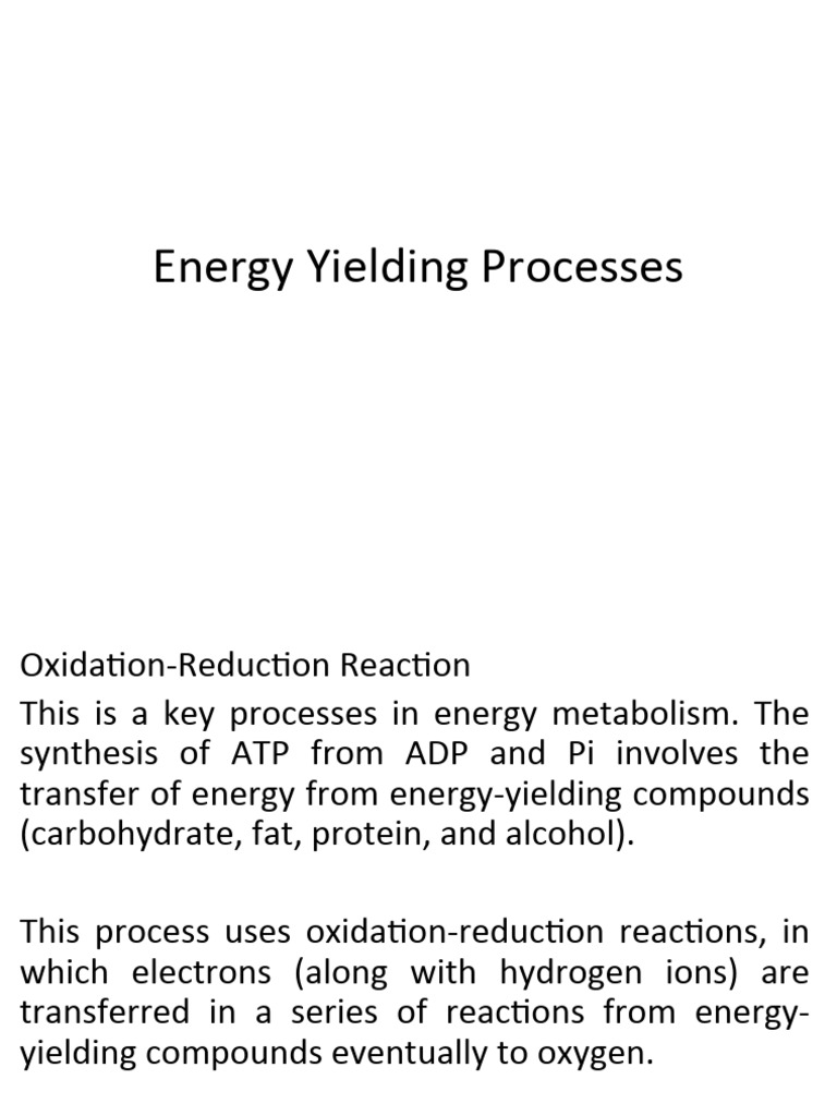 MCB 303 - Energy Yielding Processes | PDF | Cellular Respiration | Diet ...