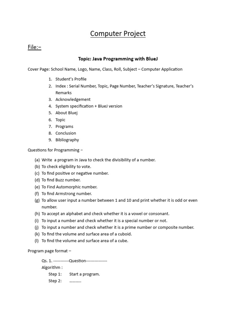 Computer Project | PDF