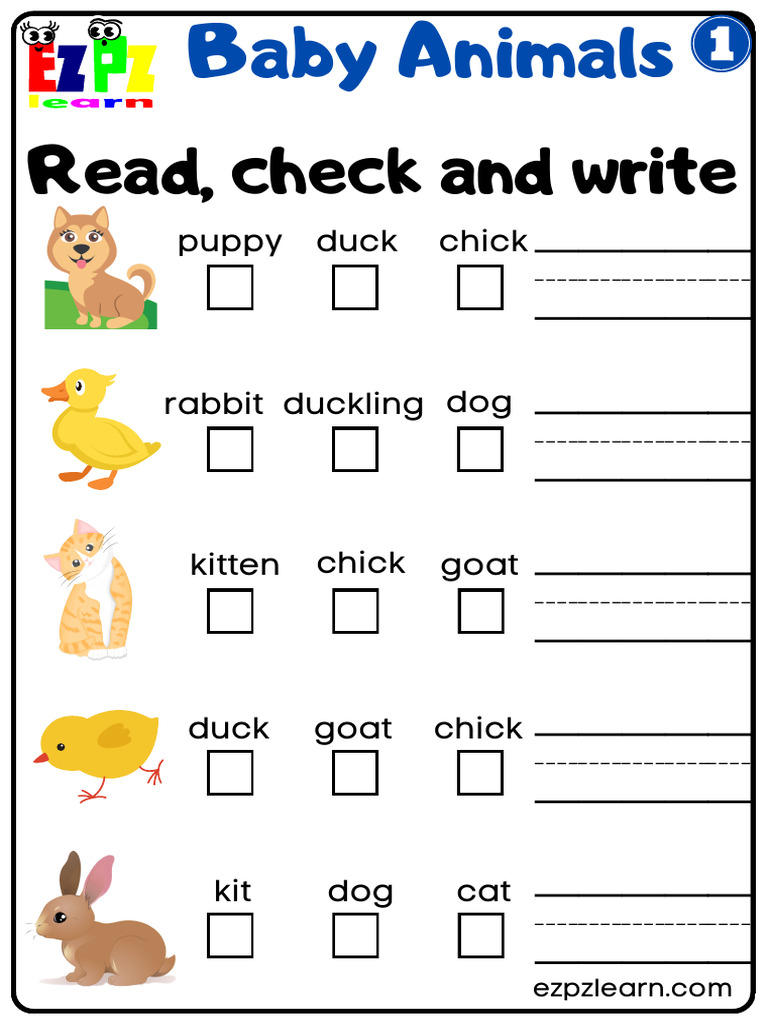 1 Baby Animals Read Check and Write | PDF
