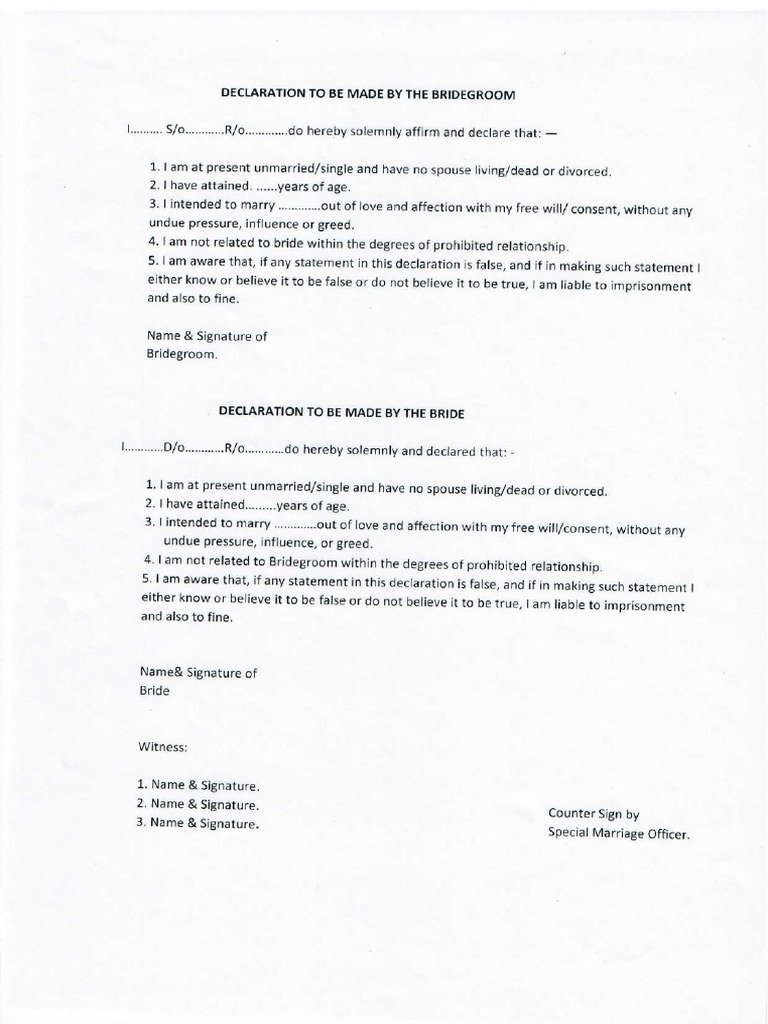 Declaration by Both Parties | PDF