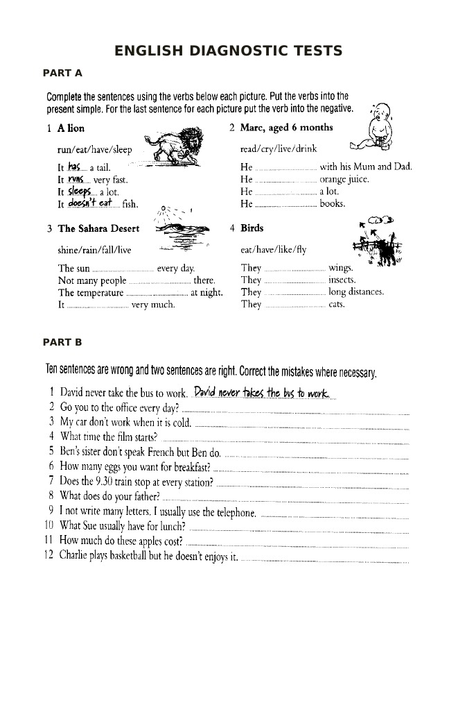 English Diagnostic Tests | PDF