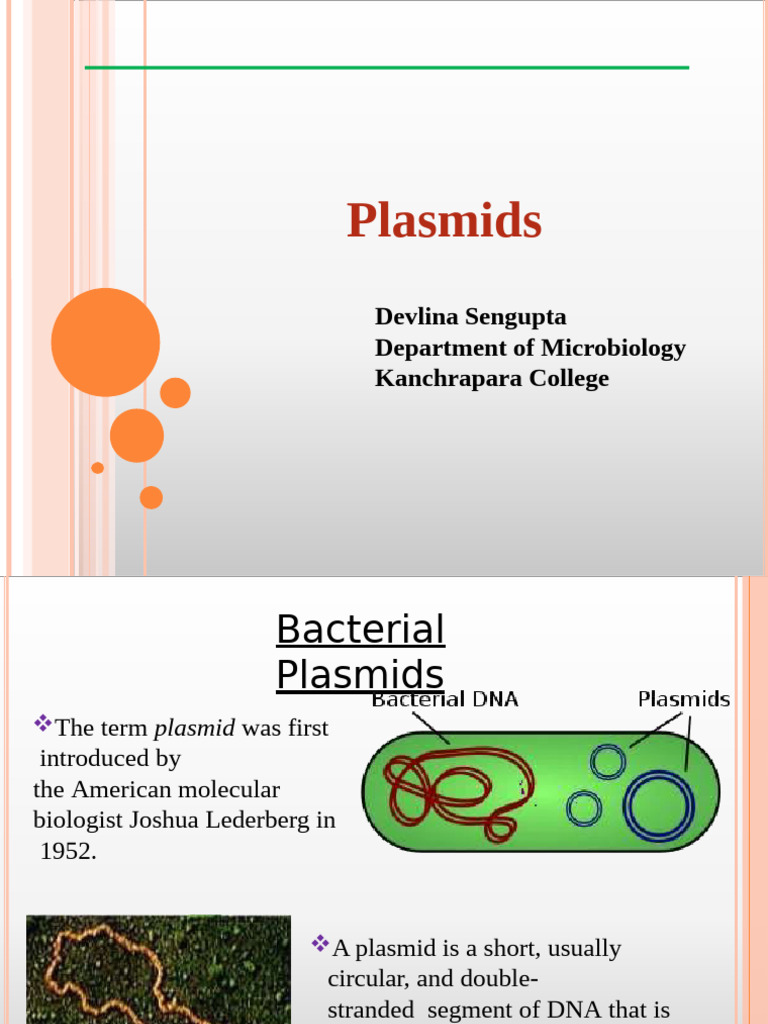 Understanding Bacterial Plasmids | PDF | Plasmid | Dna Replication