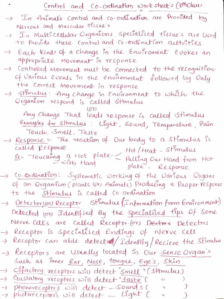 Contol & Coordination (8 SCO) | PDF | Neuron | Spinal Cord