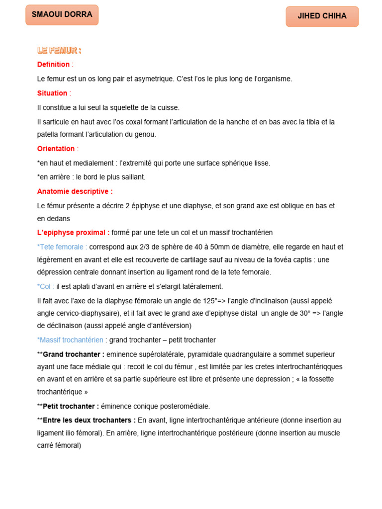 Osteo Mbre Inf | PDF | Anatomie humaine | Membres (anatomie)