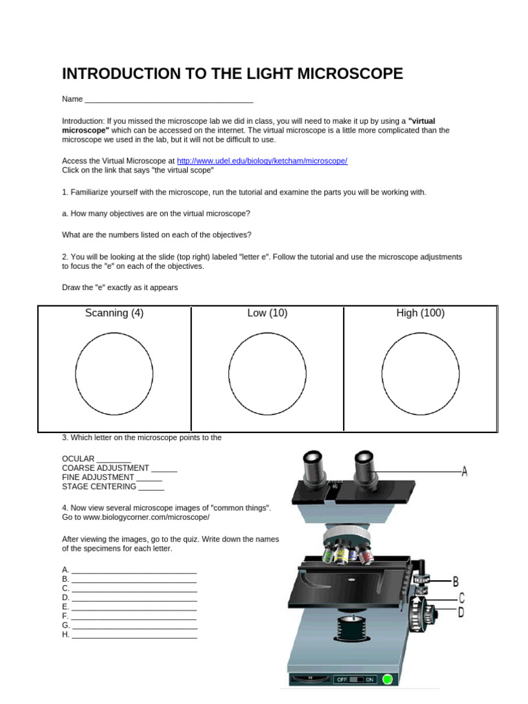 Virtual Light Microscope Lab Guide | PDF