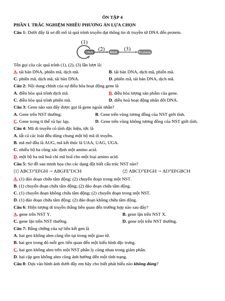 S12-De On 4 (GV) | PDF