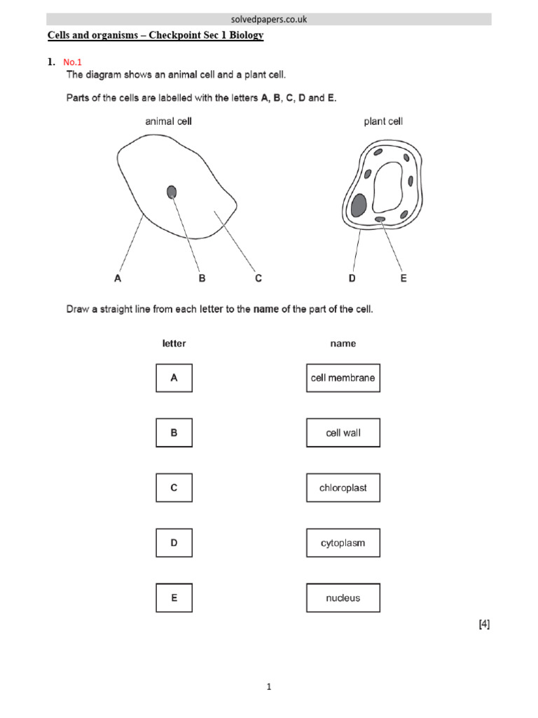 CPS2217BT Cells and Organisms66210 Checkpoint Sec 1 Biology | PDF