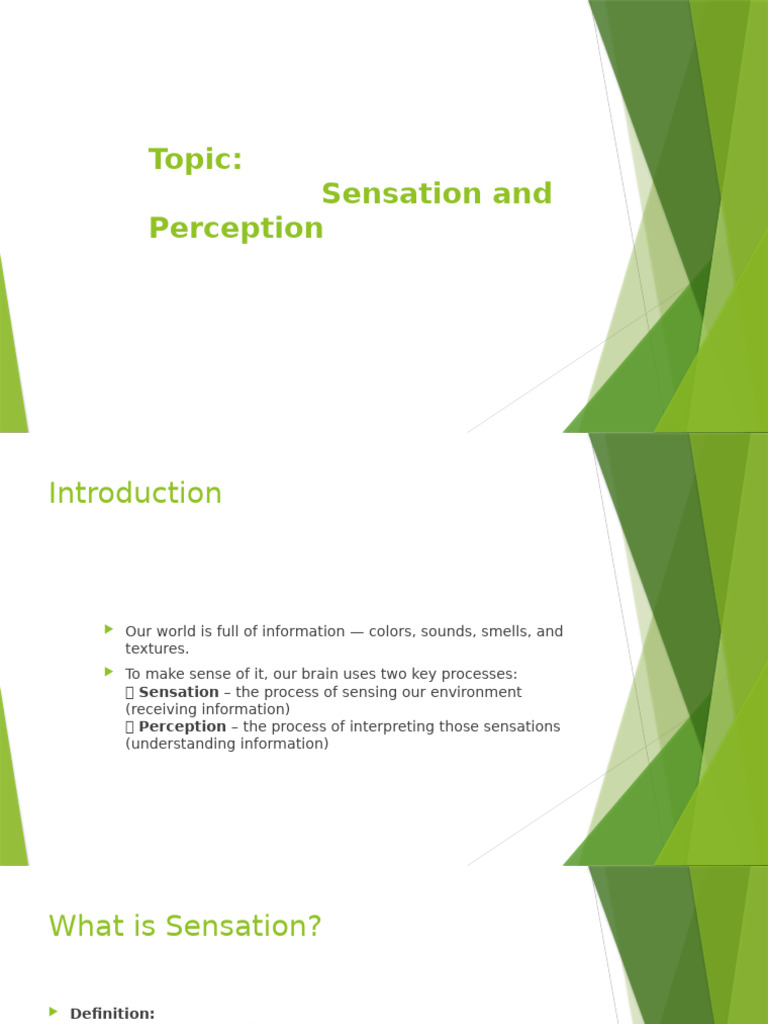 Sensation vs. Perception Explained | PDF | Senses | Taste