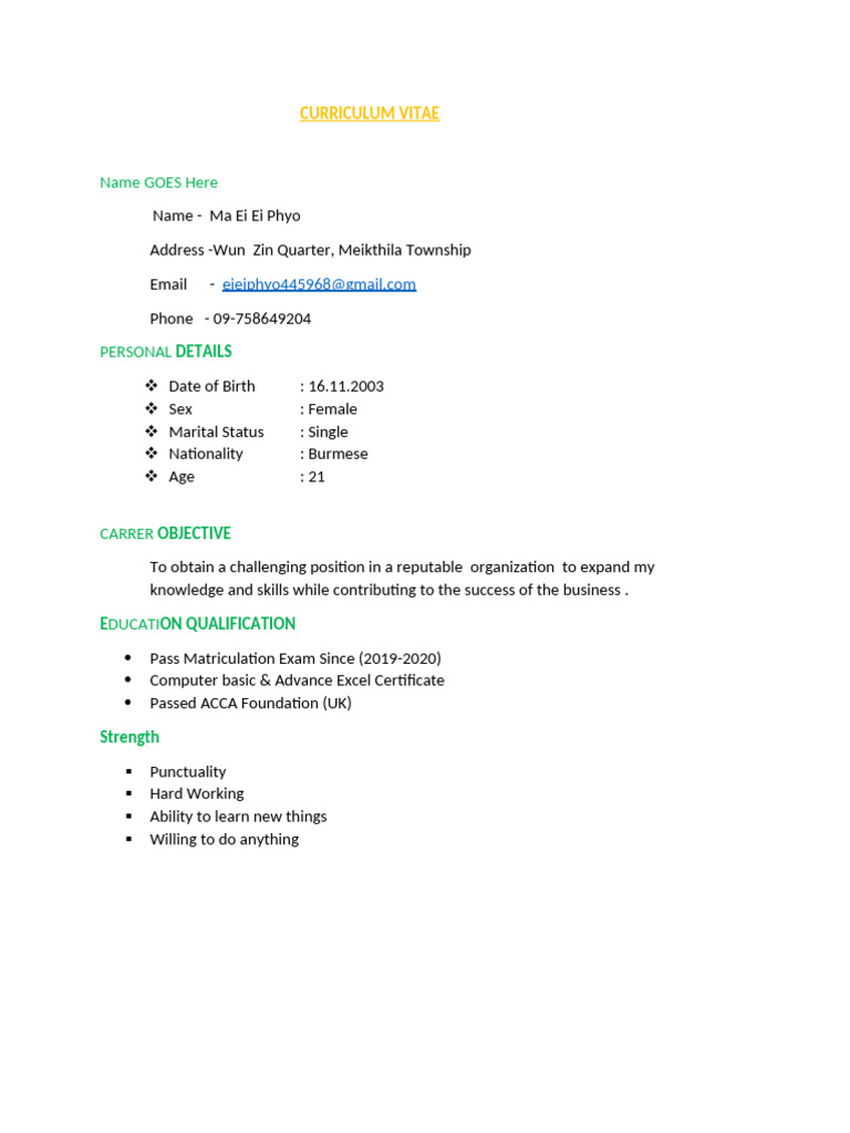 Curriculum Vitae 2 | PDF