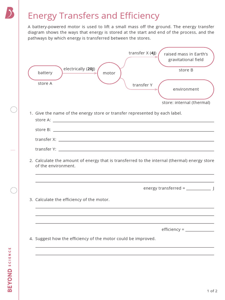 Energy Transfers and Efficiency Guide | PDF | Photosynthesis | Leaf