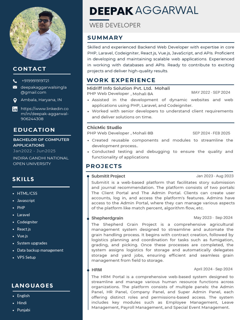 Blue Simple Professional CV Resume | PDF | Web Application | Php