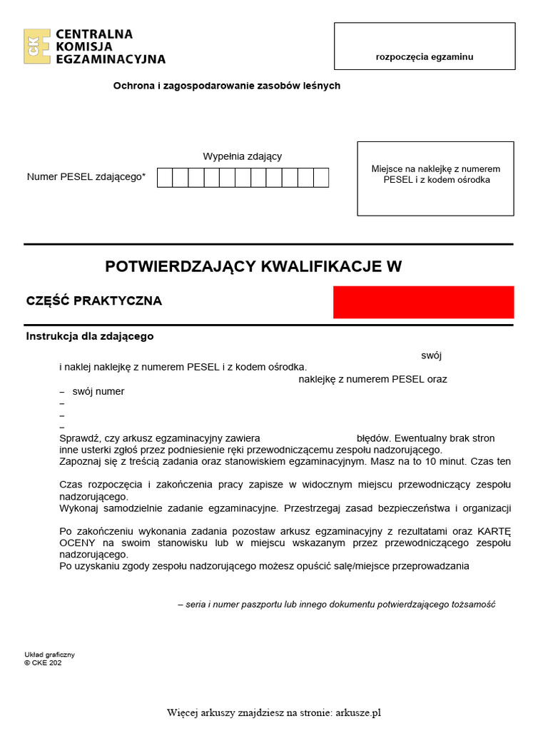 Rl13 2025 Czerwiec Egzamin Zawodowy Praktyczny | PDF