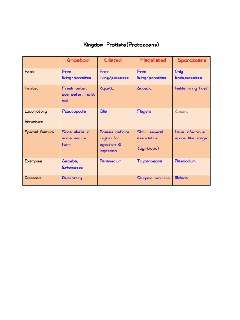 Kingdom Protista (Protozoans) | PDF