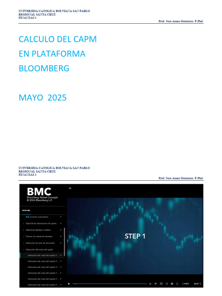 Calculo Del Capm | PDF