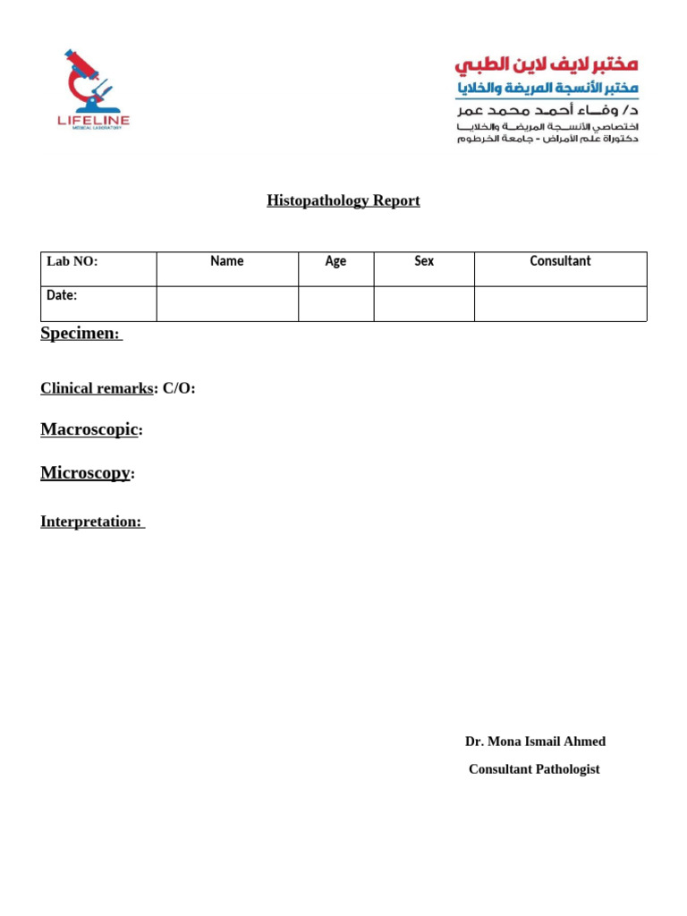 His To Report | PDF