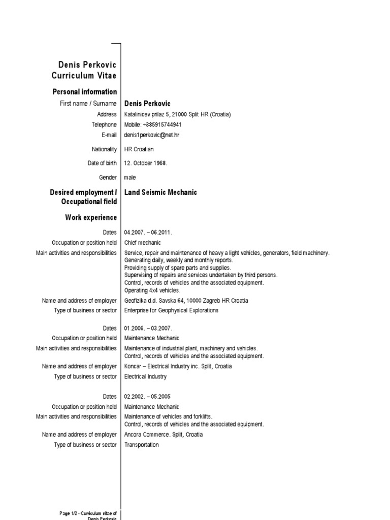 CV Denis Perkovic-1 | Download Free PDF | Croatia | Machines