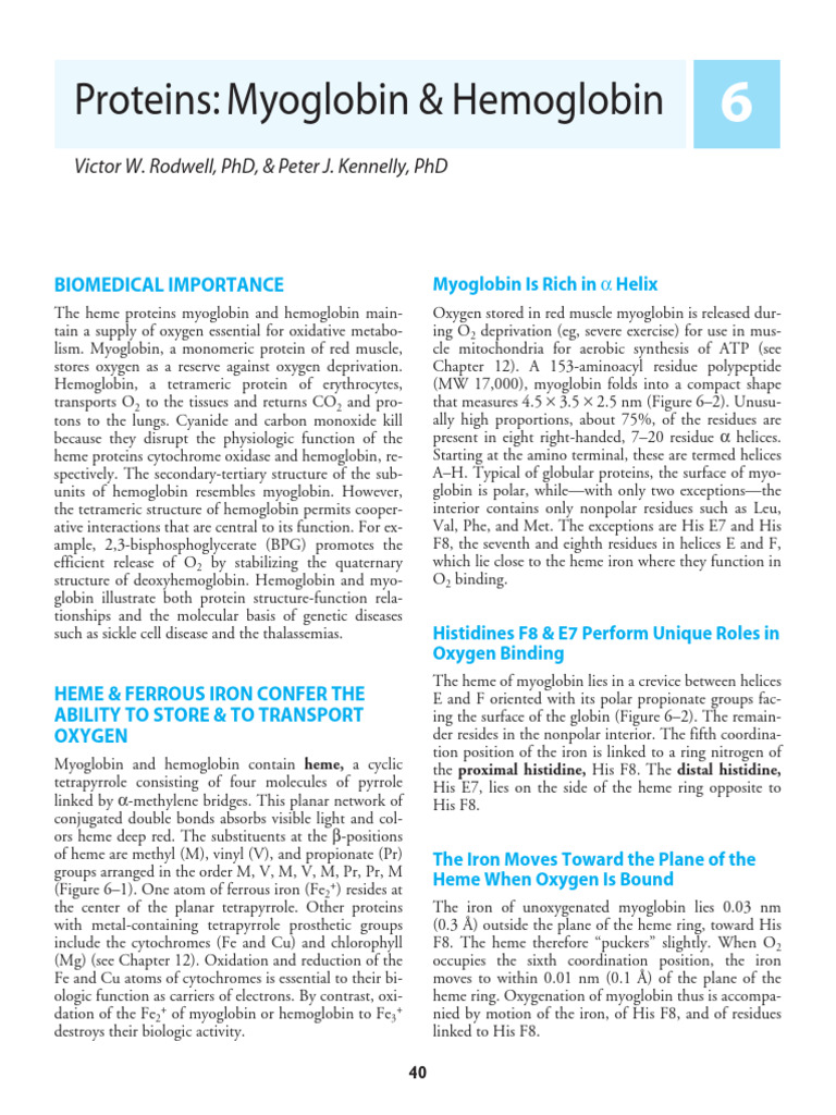 Haemoglobin and Myoglobin | PDF | Hemoglobin | Iron