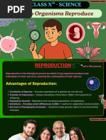 Class 10 Science: Our Environment Notes | PDF | Ecosystem | Food Web