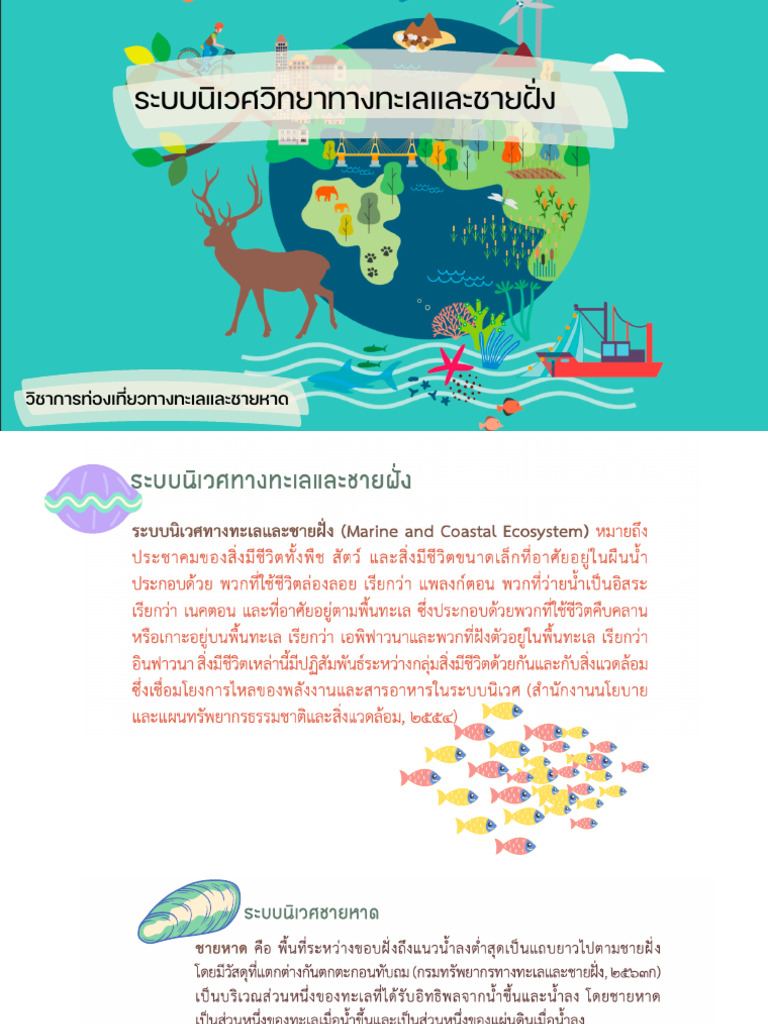 Marine Ecosystem Tourism Presentation | PDF