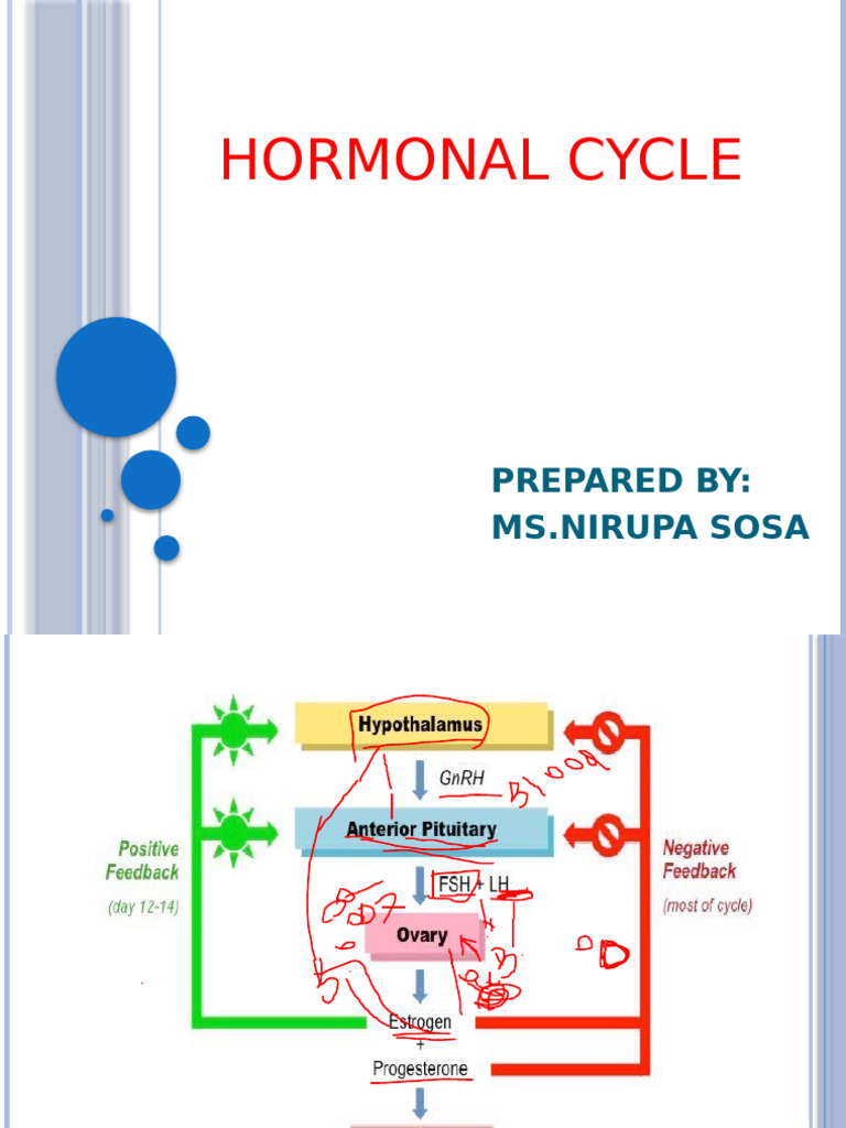 Understanding the Menstrual Cycle | PDF