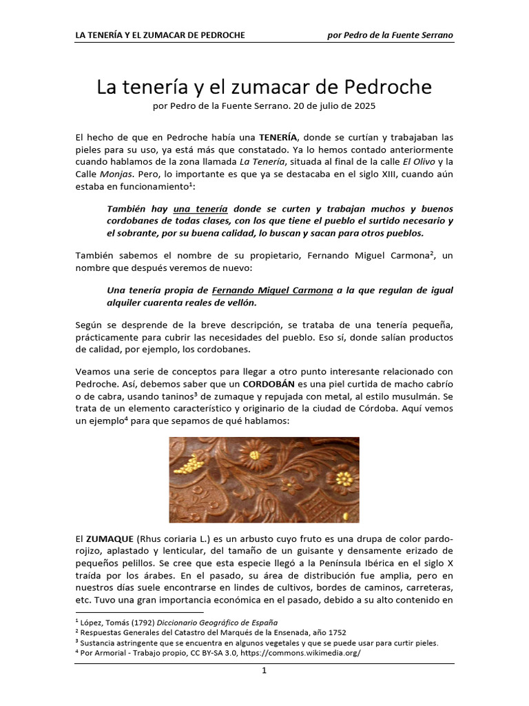 Historia de la Tenería en Pedroche | PDF
