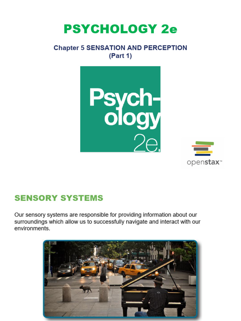 Sensation and Perception Overview | PDF | Senses | Stimulus (Physiology)