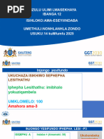 Grade 10 IsiZulu Lesson Guide | PDF | Empathy | Grammatical Number