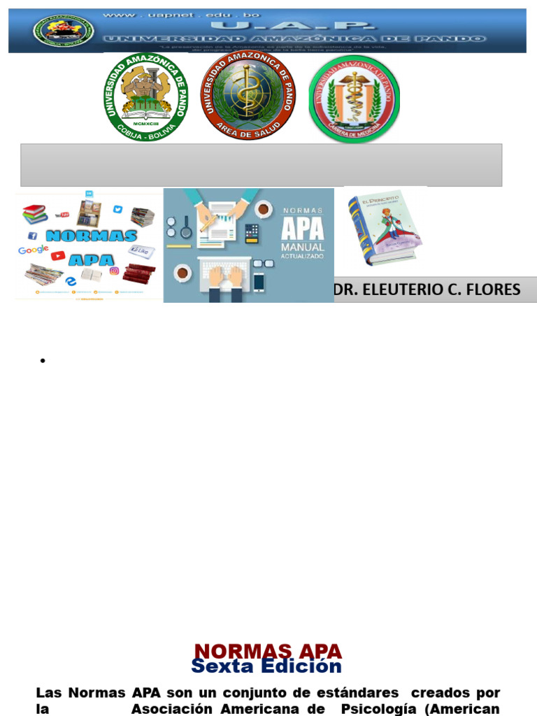 Presentacion Apa Eleu 2025 | PDF | Estilo apa | Citación