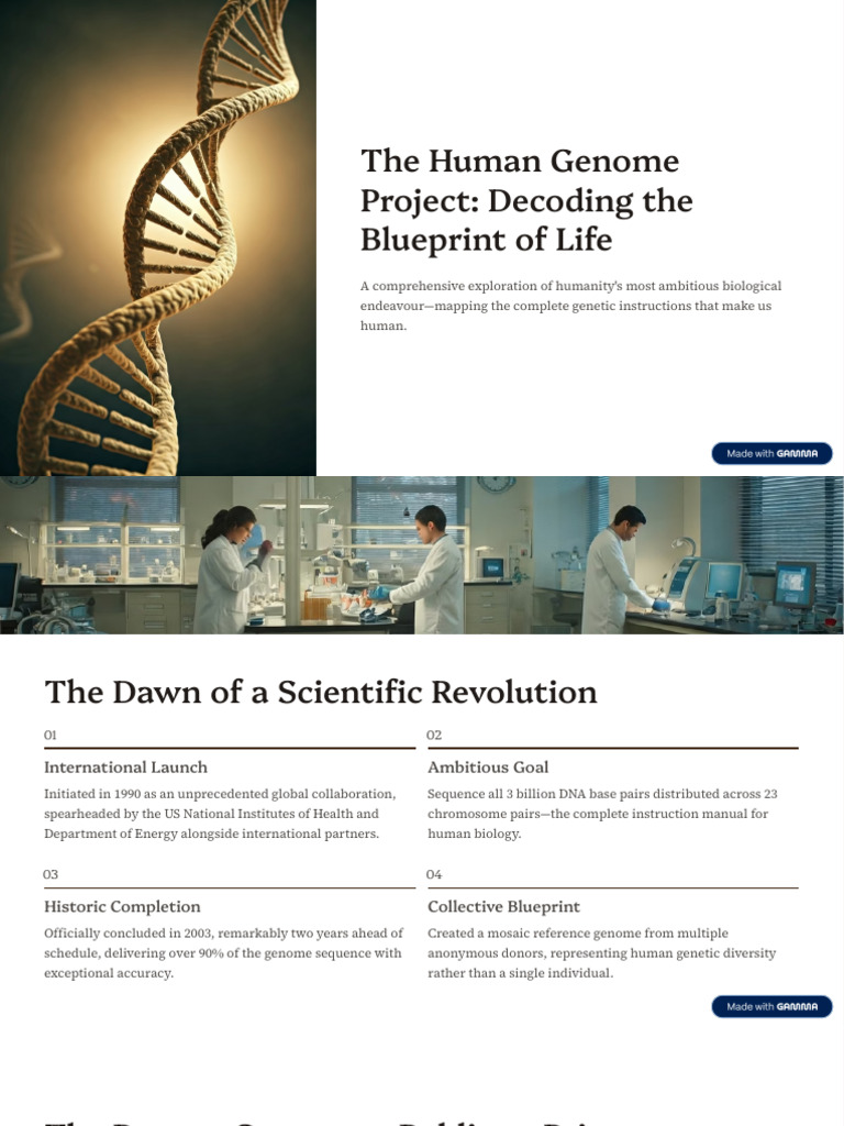 The Human Genome Project Decoding The Blueprint of Life | PDF | Dna ...