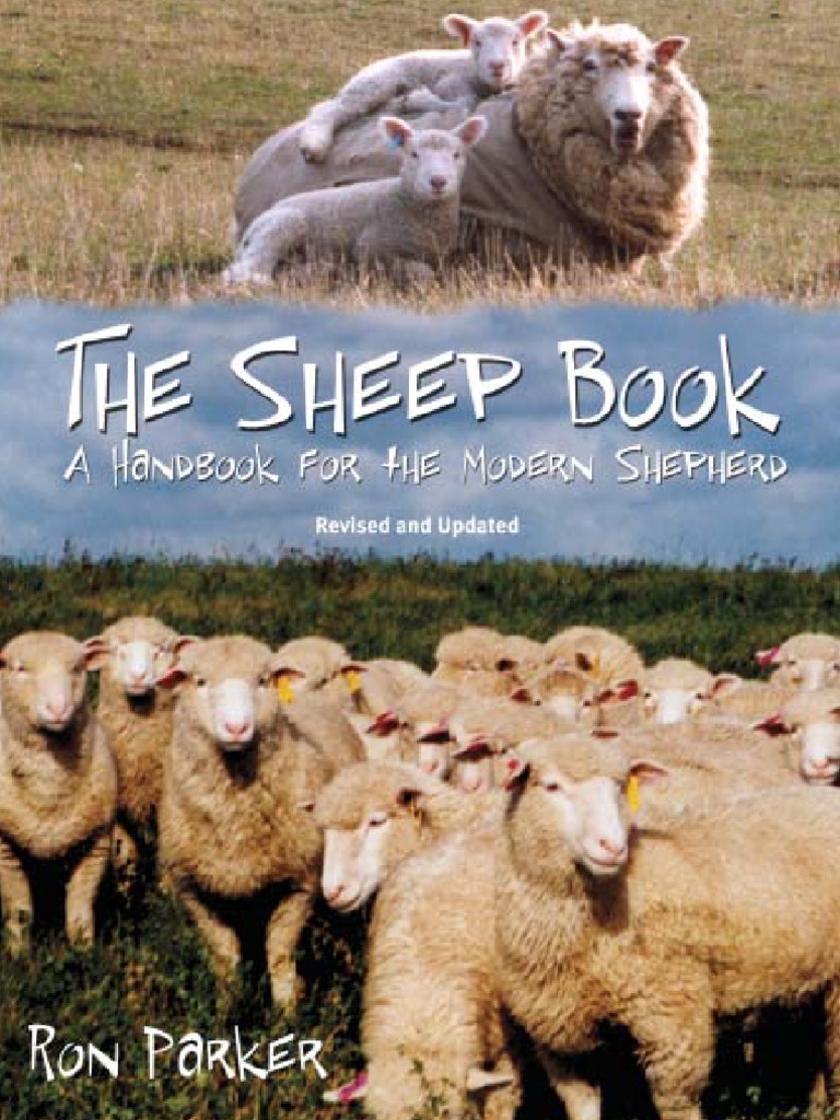 The Sheep Book | PDF | Sheep | Shepherd