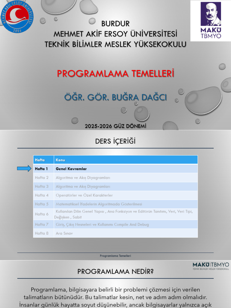 Programlama Temelleri 1.-Hafta | PDF