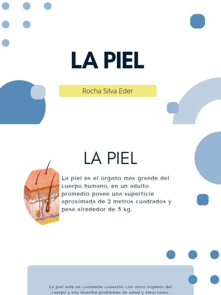 Funciones y Estructura de la Piel | PDF | Piel | Biología