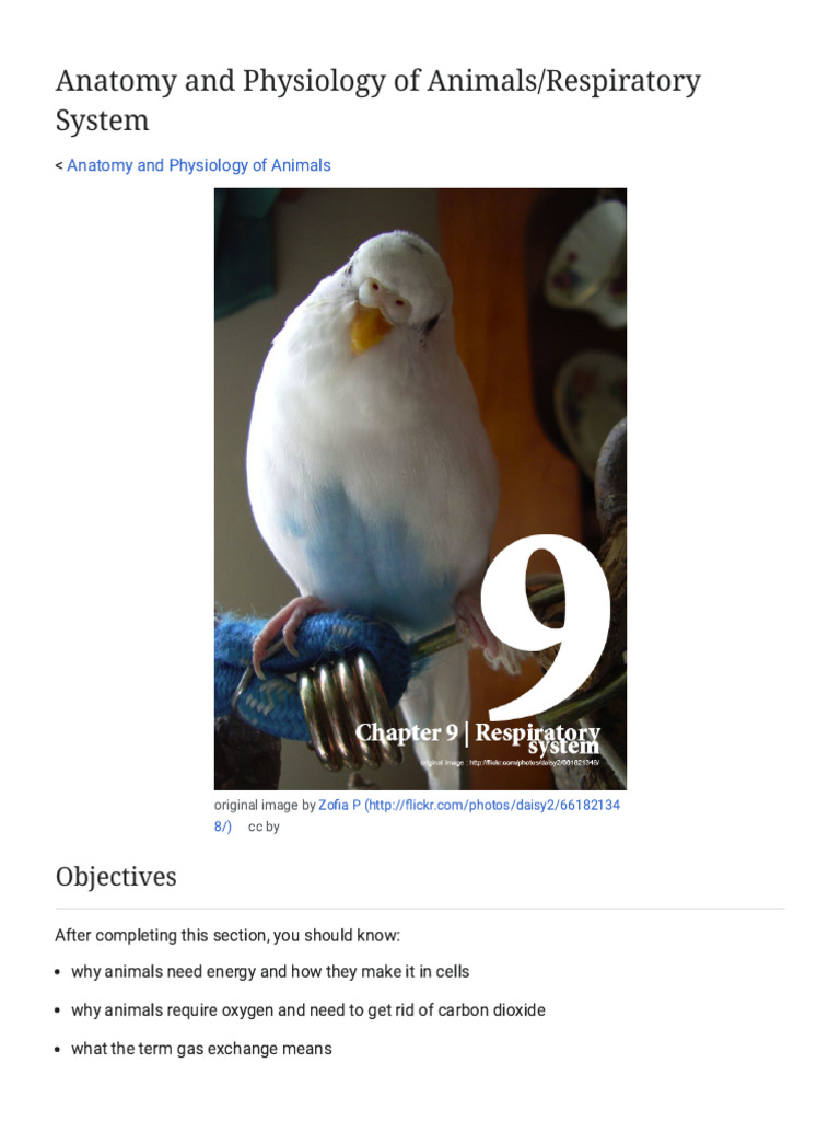 Anatomy and Physiology of Animals_Respiratory System - Wikibooks, Open Books for an Open World ...