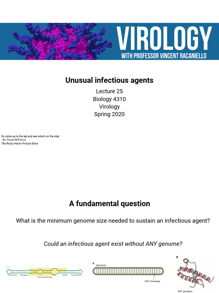 Unusual Infectious Agents in Virology | PDF | Virus | Rna