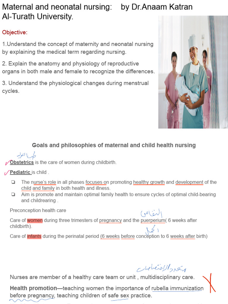 I Maternal and Neonatal Nursing Anatomy and Physiology of Reproductive ...