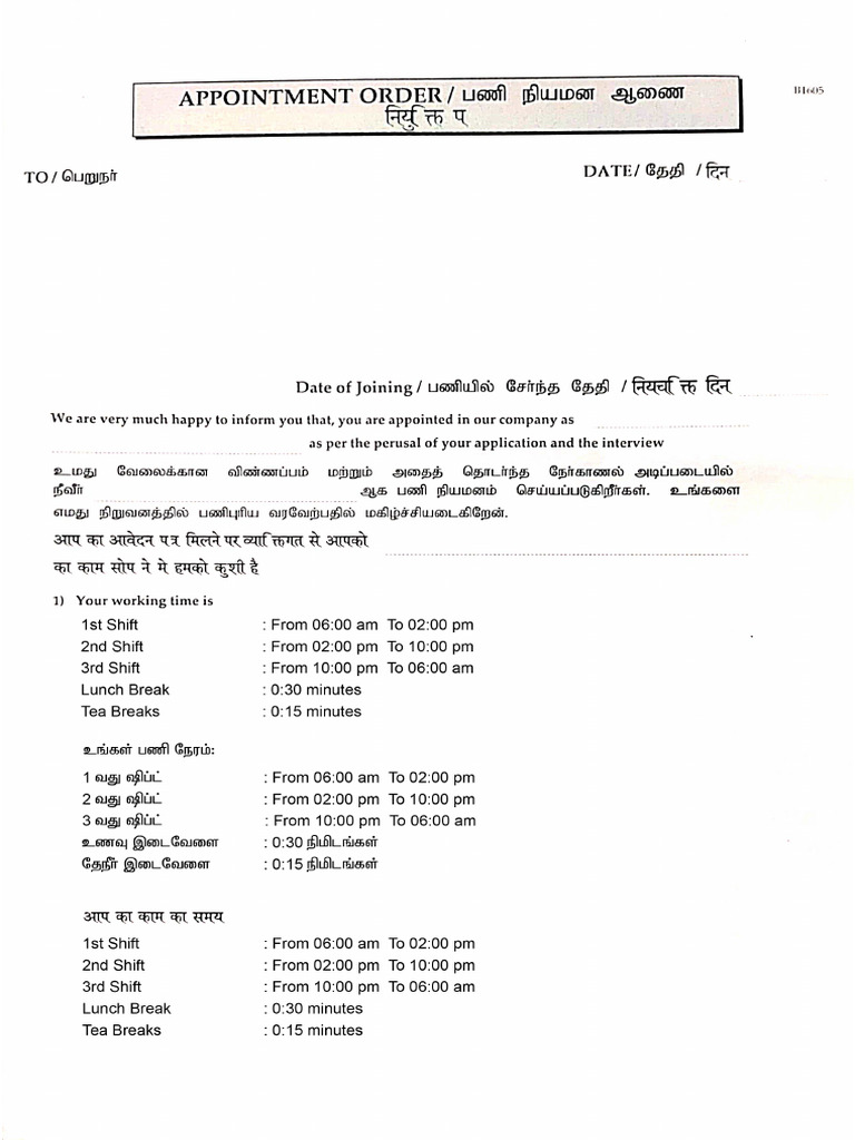Appointment Order in 3 Language | PDF