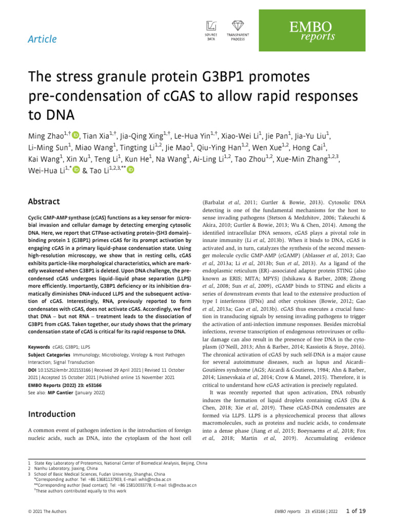 The Stress Granule Protein G3BP1 Promotes Pre-Condensation of CGAS To ...