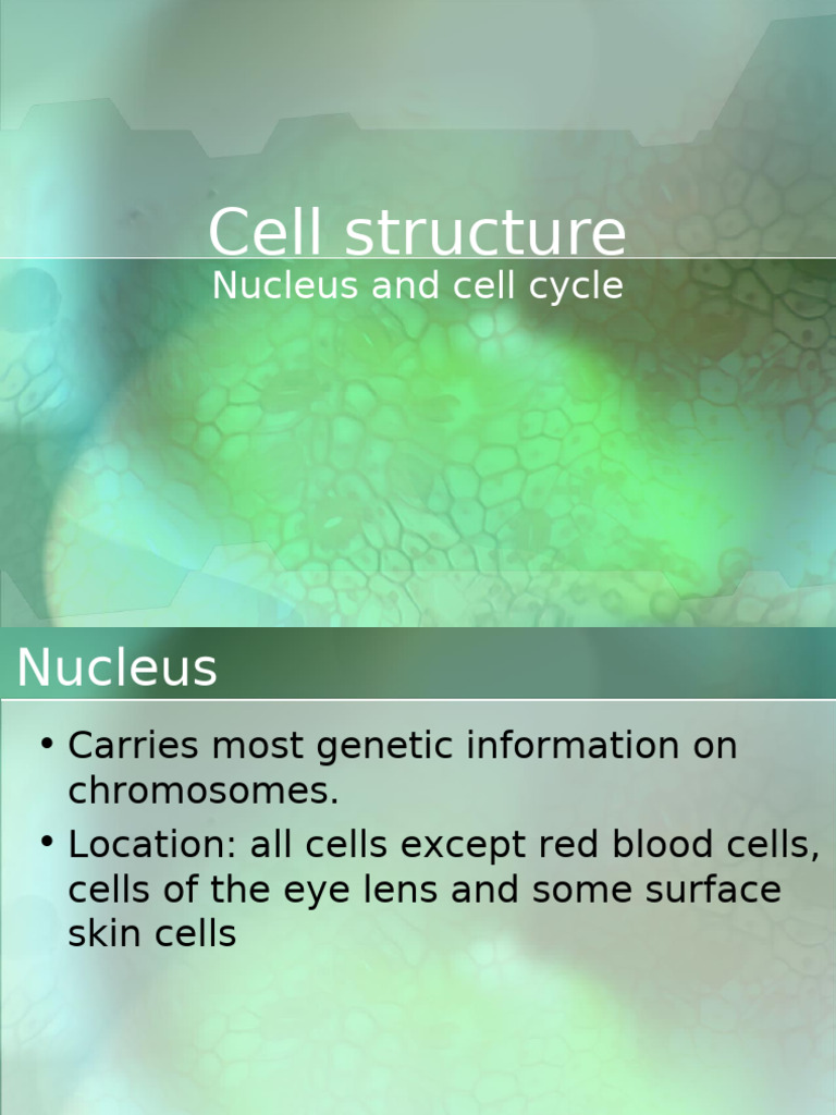Cell Cycle & Cell Division - HTM | PDF | Meiosis | Mitosis