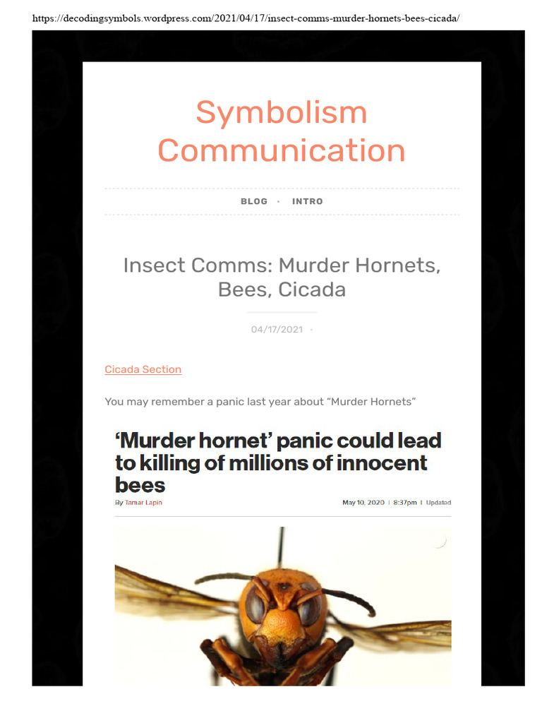 Insect Comms - Murder Hornets, - Bees, Cicada | PDF