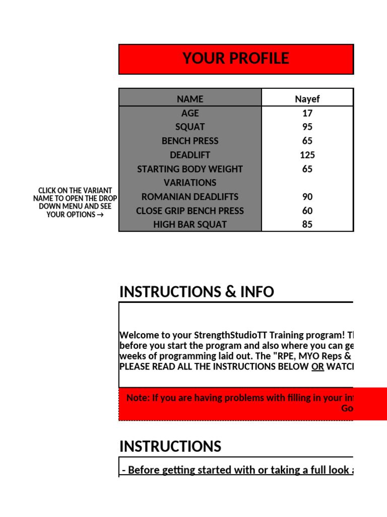 Strength Training Profile & Program Guide | PDF | Weight Training ...