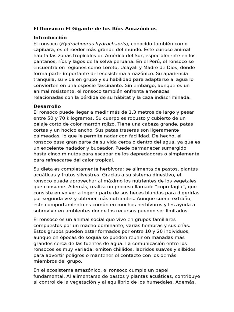 Ronsoco: Gigante de la Selva Peruana | PDF | Entorno natural | Ecología