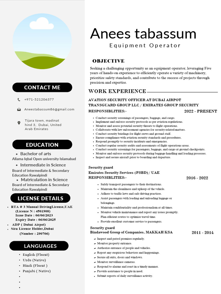 Sakir E D CV 7766.pdf_20250609_123341_0000 | PDF | Airport Security | Baggage