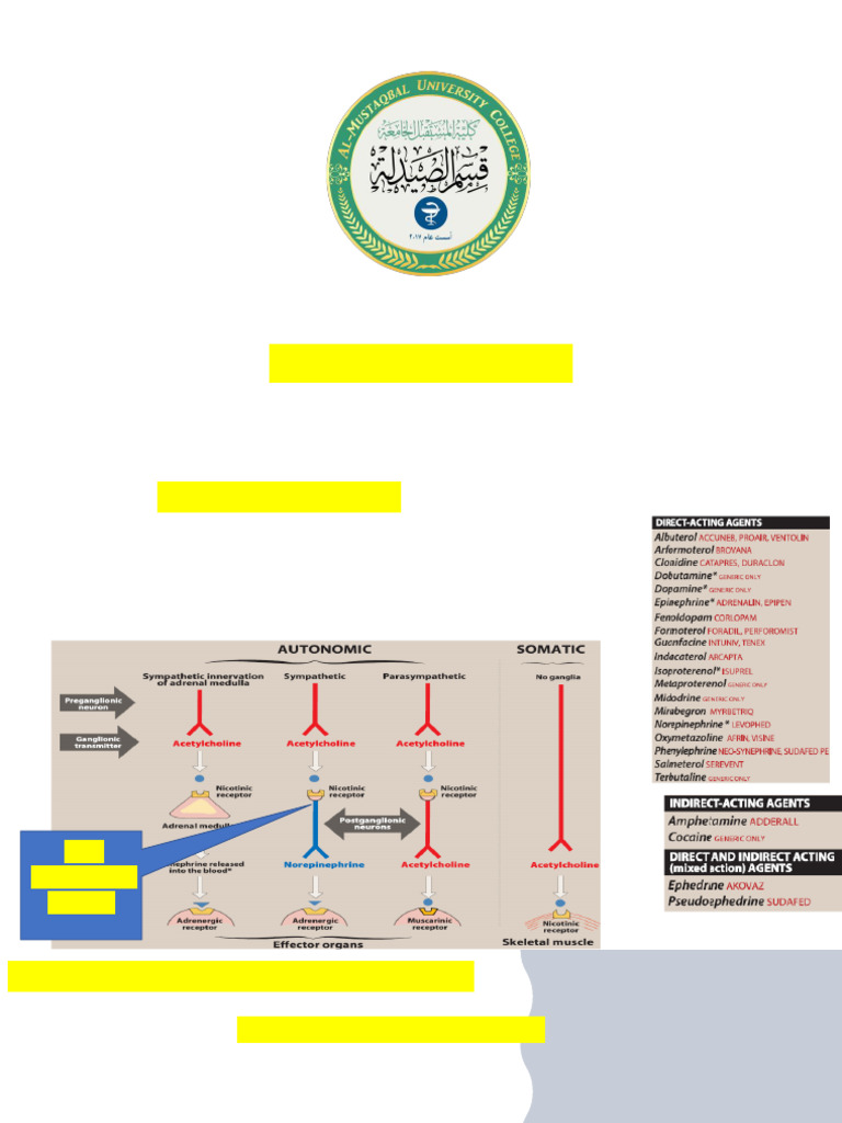 MUCLecture 2023 32836733 | PDF | Norepinephrine | Chemical Synapse