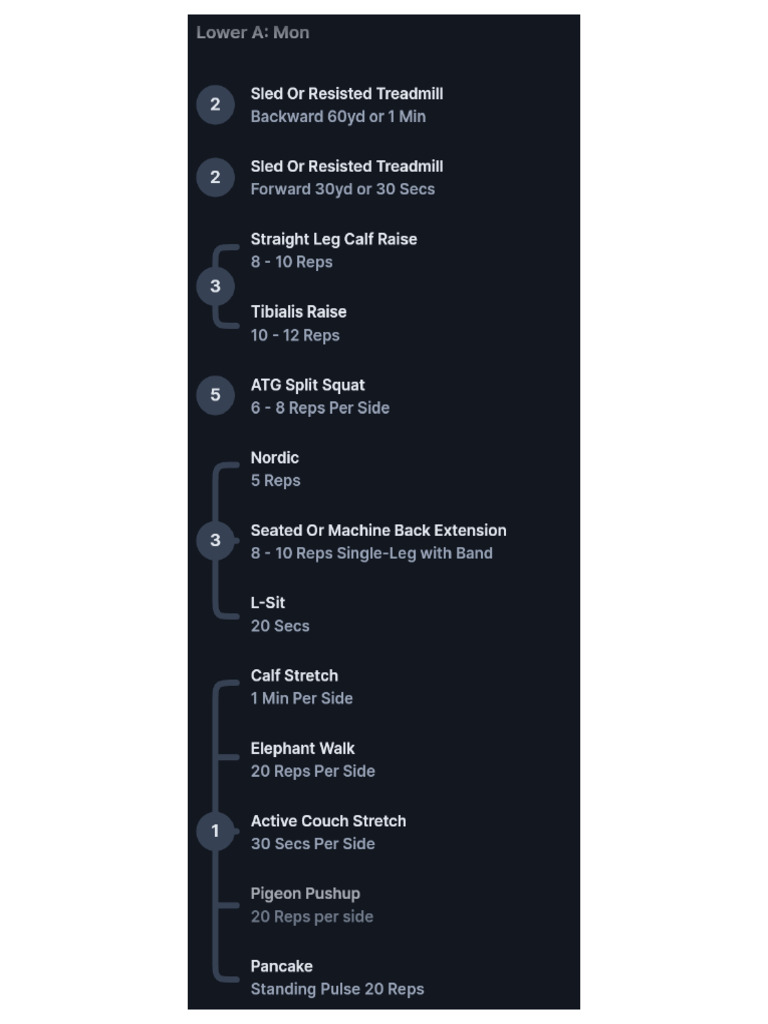 Full Protocol 2 | PDF