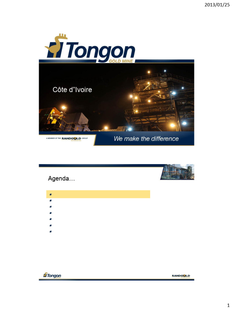 Randgold Tongon CP 01212013 | PDF | Electrical Grid | Mining